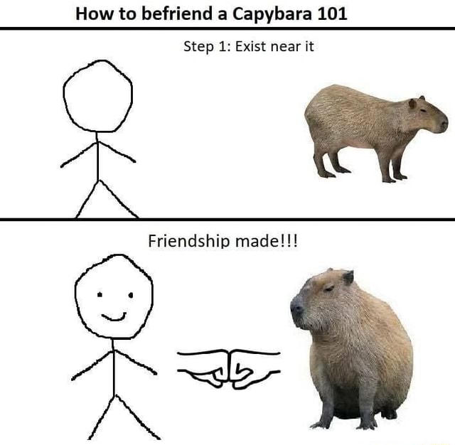 How to befriend a Capybara 101 Step 1: Exist near it Friendship made ...