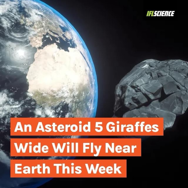 An Asteroid 5 Giraffes Wide Will Fly Near I Earth This Week - iFunny
