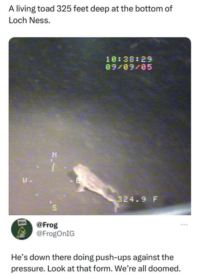 A living toad 325 feet deep at the bottom of Loch Ness. 1@: He's down ...