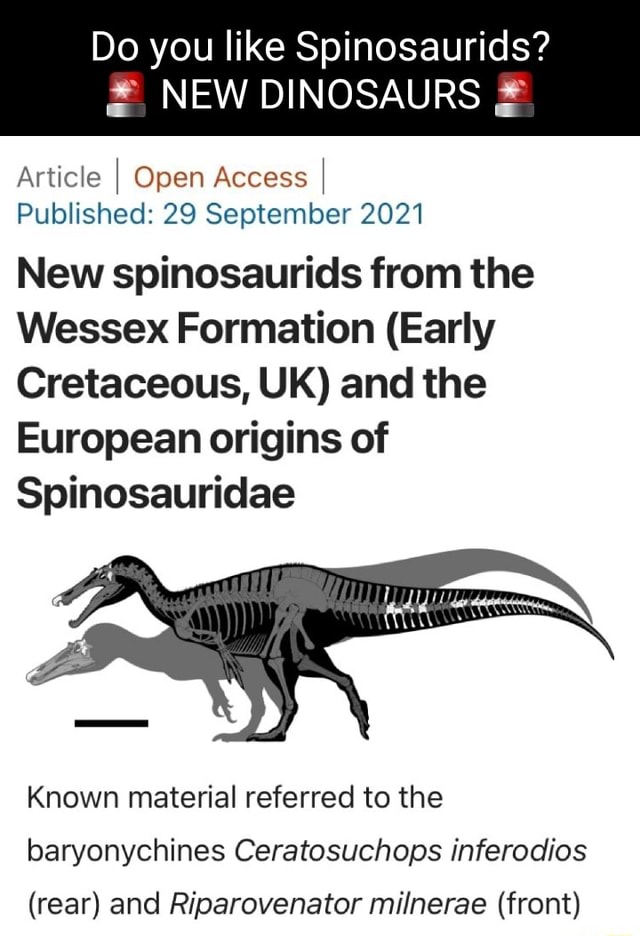 Do you like Spinosaurids? NEW DINOSAURS 2, Article I Open Access I ...