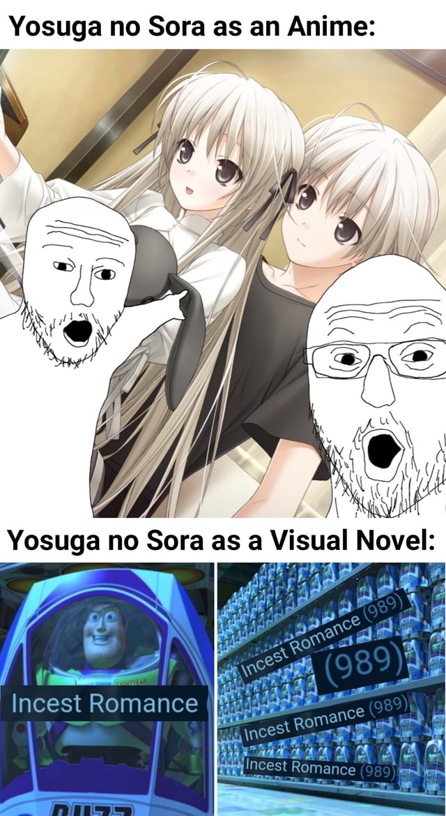 Yosuga no Sora as an Anime: uh Yosuga no Sora as a Visual Novel: Incest ...