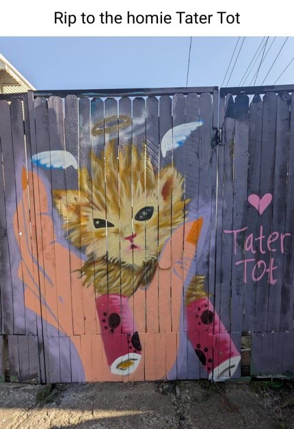 RIP little one - Rip to the homie Tater Tot IN - iFunny