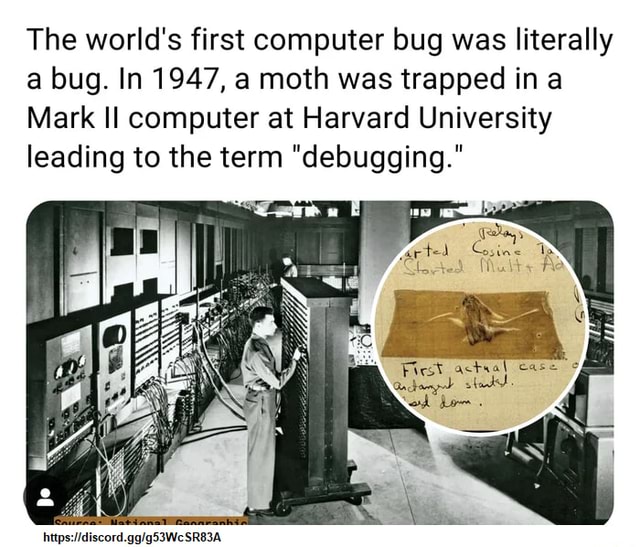The world's first computer bug was literally a bug. In 1947, a moth was ...