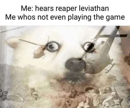Me: hears reaper leviathan Me whos not even playing the game - iFunny