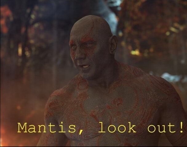 Mantis, look out! - iFunny