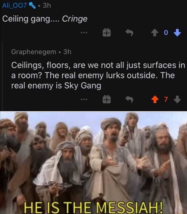 Ceiling gang.... Cringe Graphenegem Ceilings, floors, are we not all ...