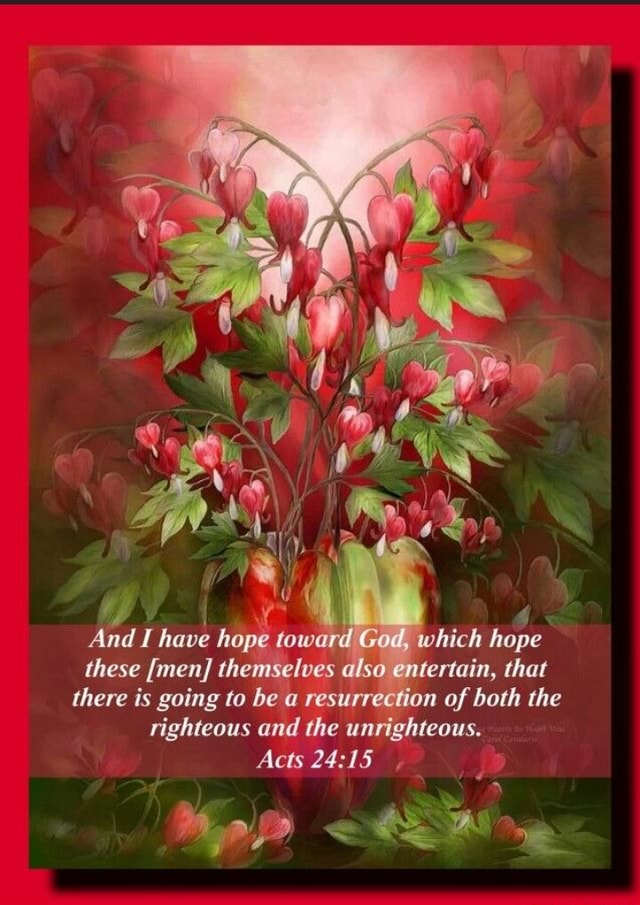 SEEN Lop And I have hope toward God, which hope these [men] themselves ...