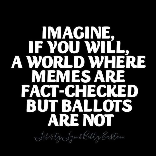 IMAGINE, IF YOU WILL, A WORLD WHERE MEMES ARE FACT-CHECKED BUT BALLOTS ...