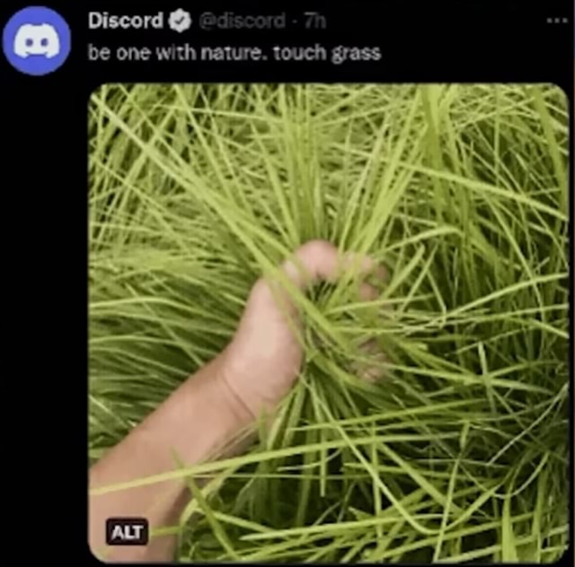 Ac Discord @ 7 be one with nature. touch grass - iFunny