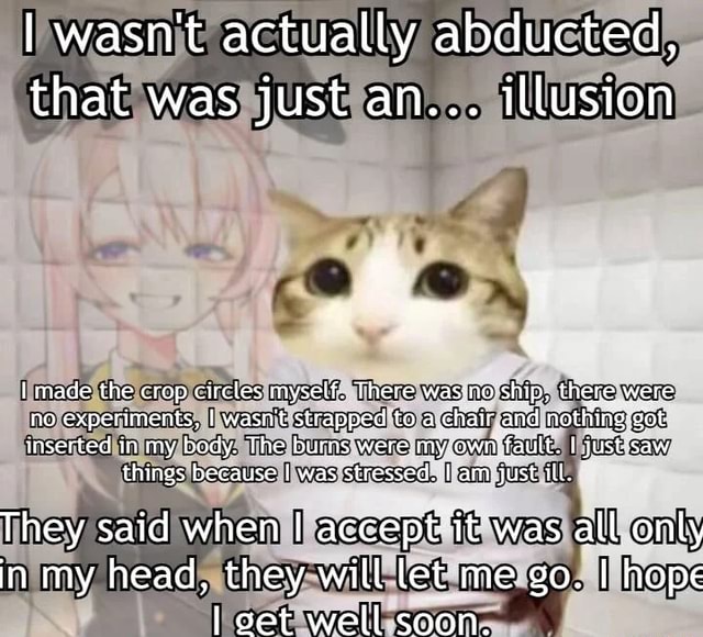 I wasn't actually abducted, that was just an... illusion I made the ...