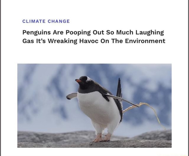 CLIMATE CHANGE Penguins Are Pooping Out So Much Laughing Gas It's ...