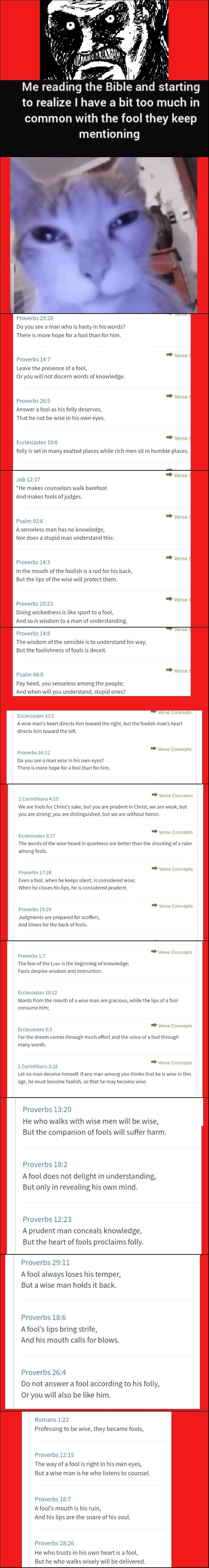 Me reading the Bible and starting to realize I have a bit too much in ...