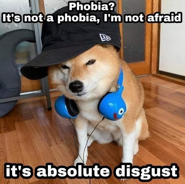 Phobia? It's not a phobia, I'm not afraid! it's absolute disgust - iFunny