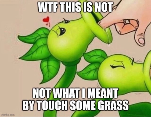 WTF THIS IS NOT NOT WHAT I MEANT BY TOUCH SOME GRASS IFunny