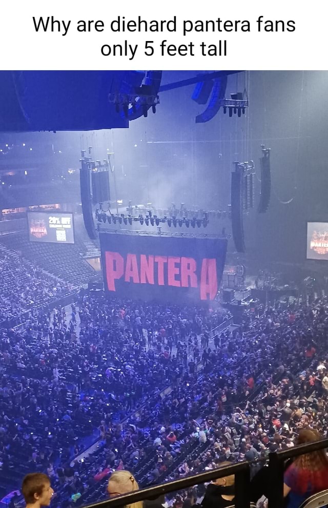 Why are diehard pantera fans only feet tall - iFunny