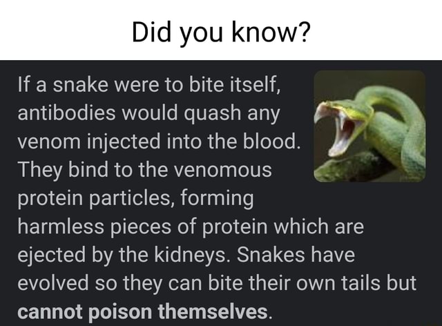 Did you know? If a snake were to bite itself, antibodies would quash ...