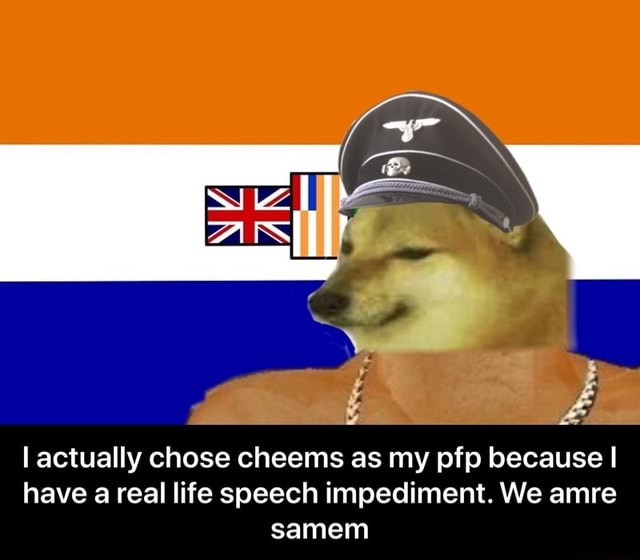 L actually chose cheems as my pfp because I have a real life speech ...