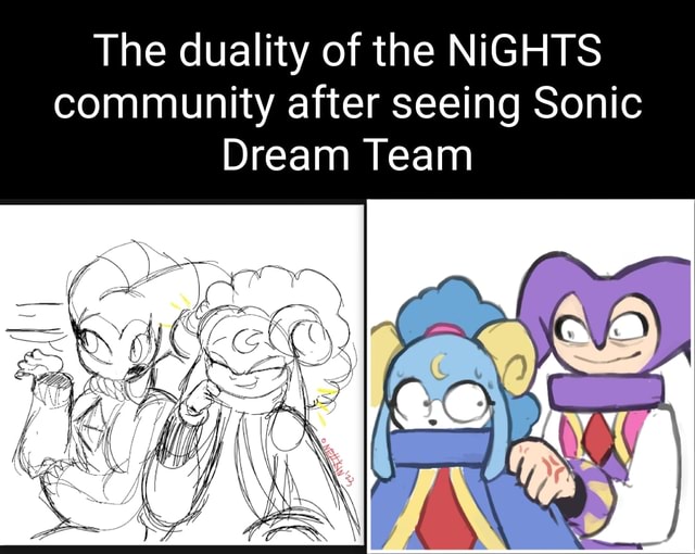 The duality of the NiGHTS community after seeing Sonic Dream Team - iFunny