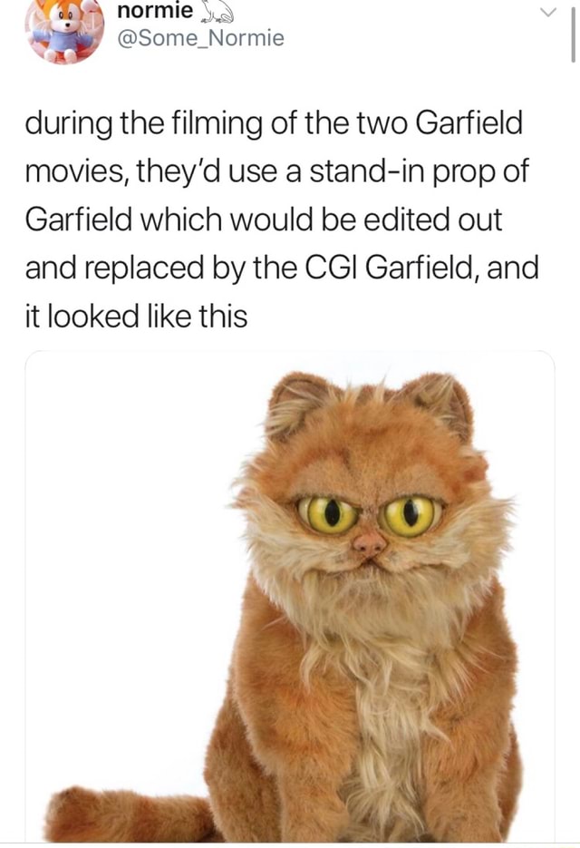 During the filming of the two Garfield movies, they’d use a stand-in ...