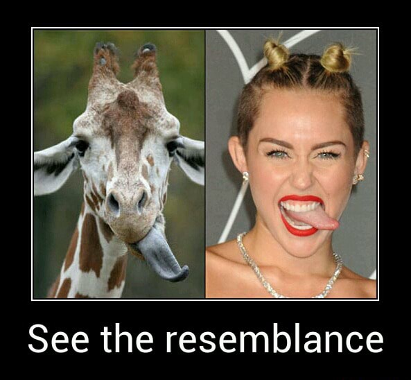 See the resemblance - See the resemblance - )