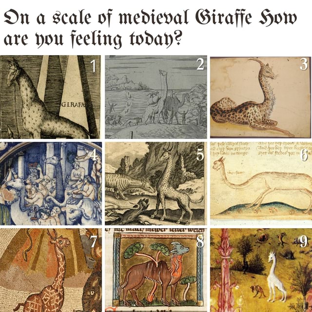 On a scale of medieval Giraffe How are you feeling today? - iFunny