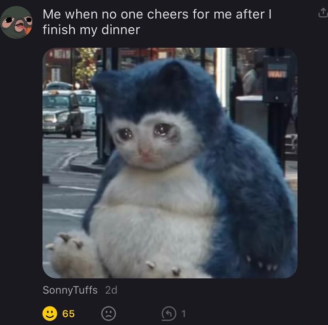 Par Me when no one cheers for me after I finish my dinner SonnyTuffs 65 ...
