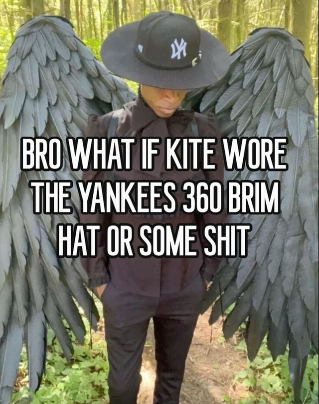 BRO WHAT IF KITE WORE THE YANKEES 360 BRIM HAT OR SOME SHIT - iFunny