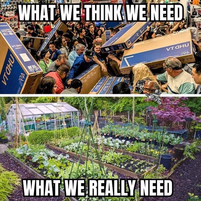 WHAT WE THINK WE NEED WHAT WE REALLY NEED - iFunny