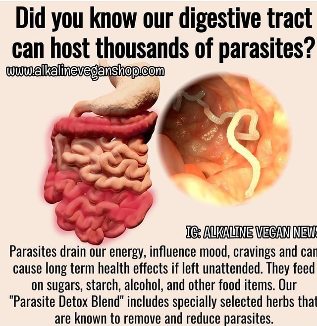 Did you know our digestive tract can host thousands of parasites? TC ...