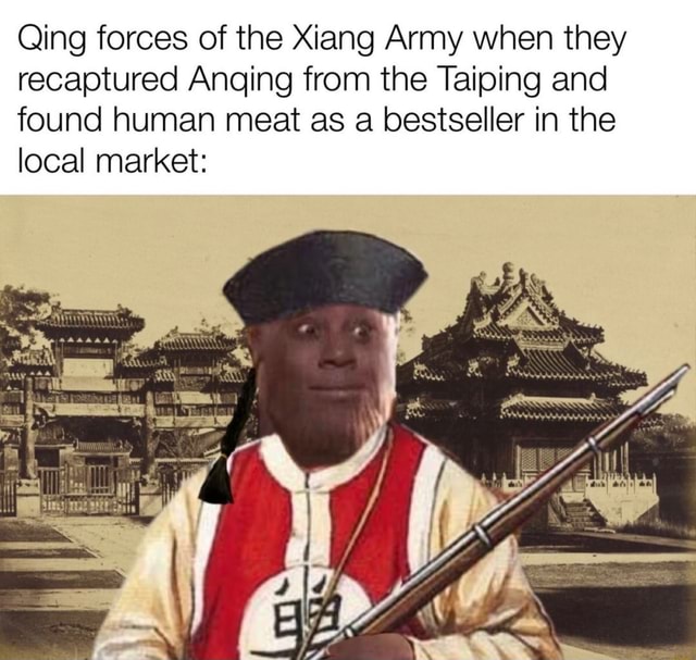 Qing forces of the Xiang Army when they recaptured Anaing from the ...