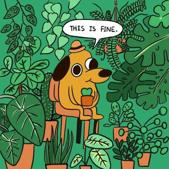 Returning memes to their natural habitat - iFunny