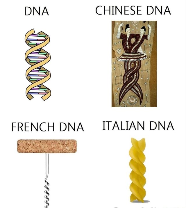 CHINESE DNA DNA FRENCH DNA TITALIAN DNA - Keke