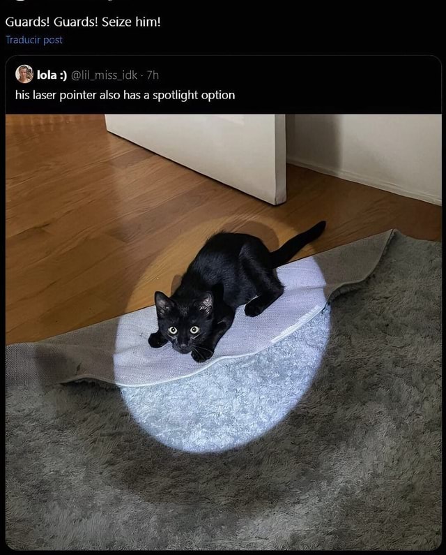 Guards! Guards! Seize him! Traducir post @ lola) @lil_miss idk his laser pointer also has a ...