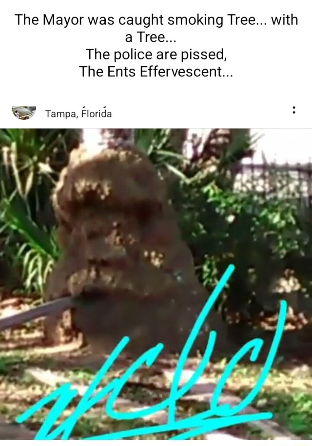 The Mayor was caught smoking Tree... with a Tree... The police are ...