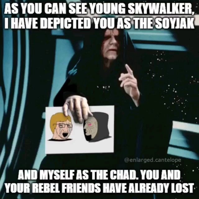 AS YOU CAN SEE YOUNG SKYWALKER, HAVE DEPICTED YOU AS THE SOYJAK AND ...