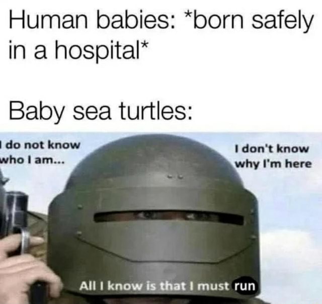 Thursday meme dump! - Human babies: *born safely in a hospital* Baby ...