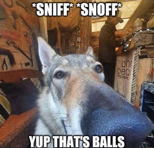 Sniff Shoff Vip Thats Balls Ifunny