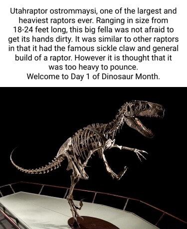 Utahraptor ostrommaysi, one of the largest and heaviest raptors ever ...