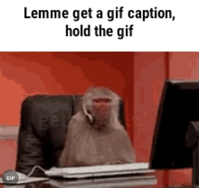 Lemme get a gif caption, hold the gif GIF - iFunny