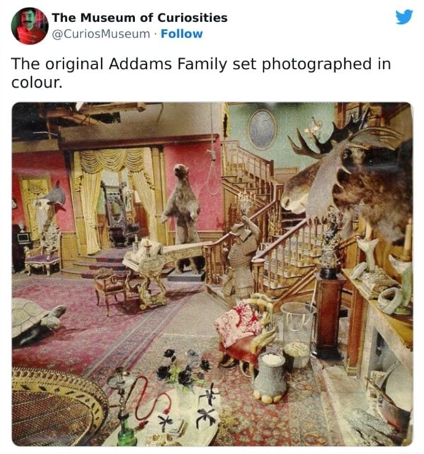 The Museum of Curiosities uriosMuseum Follow The original Addams Family ...