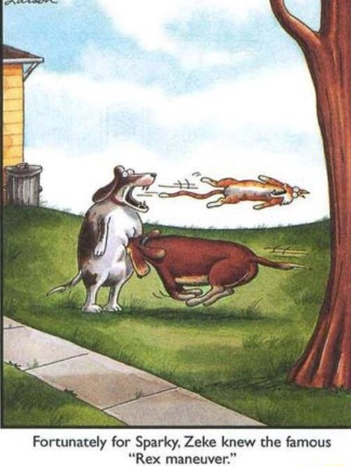 Fortunately for Sparky, Zeke knew the famous "Rex maneuver." - iFunny