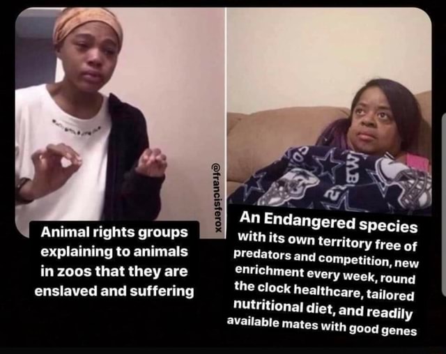 An Endangered species Animal rights groups with its own territory free ...