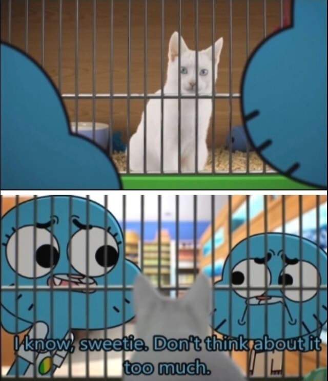 Picture memes kPpsHQjb7 by EvanLee: 236 comments - iFunny