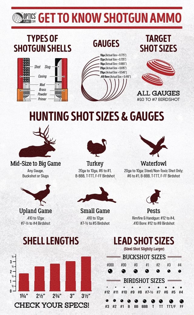 GET TO KNOW SHOTGUN AMMO TYPES OF SHOTGUN SHELLS Shot Casing Wad _Brass ...