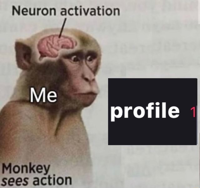Neuron activation profile Monkey sees - )