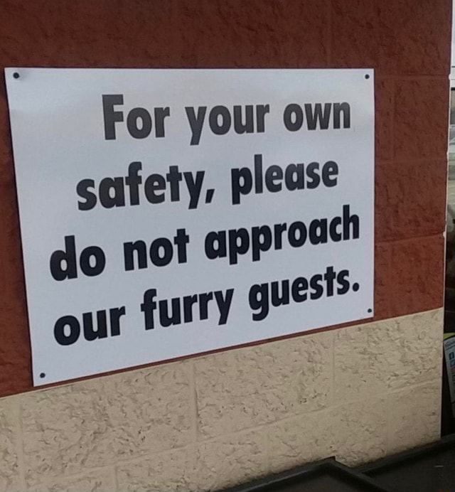 For your own safety, please do not approach our furry - iFunny