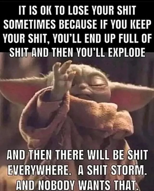IT OK TO LOSE YOUR SHIT SOMETIMES BECAUSE IF YOU KEEP YOUR SHIT, YOU'LL ...