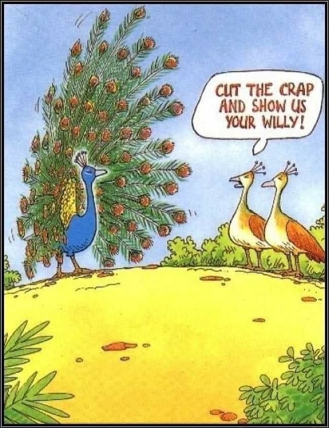 CUT THE CRAP AND SHOW US YOUR WILLY! - iFunny