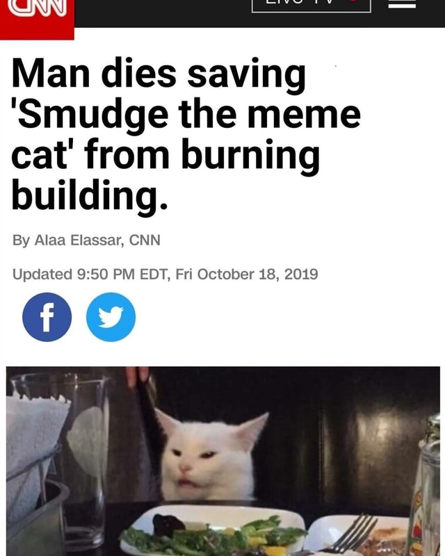 Man dies saving 'Smudge the meme cat' from burning building. By Alaa ...