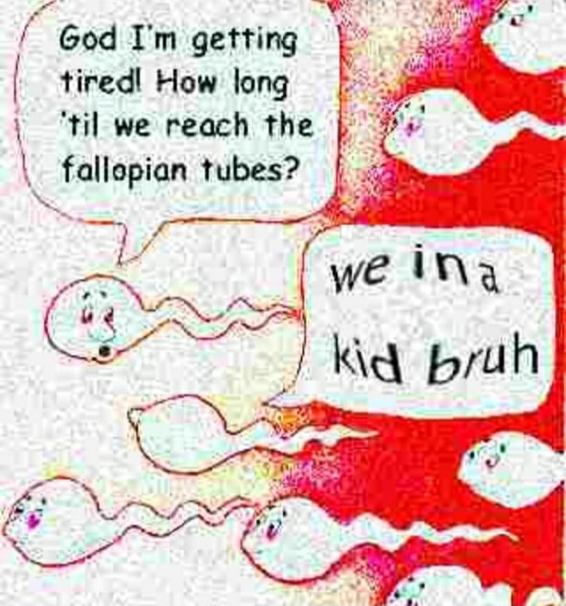 God Im getting tired! How long I 'til we reach the fallopian tubes ...